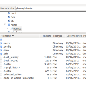 Connect to EC2 instance using SCP or FileZilla - BeginningLinux.com